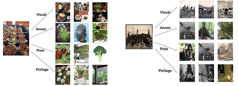 0_Ensl00yDOk_KTda4_800px_edited_web - TOPBOTS